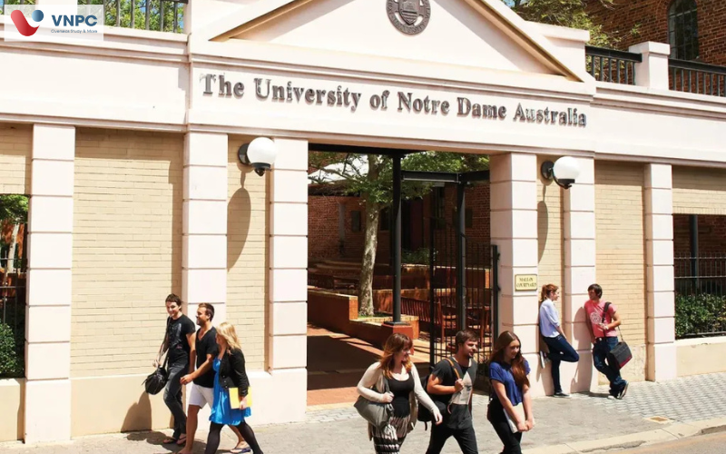 Trường University of Notre Dame Australia: Điều kiện, học phí