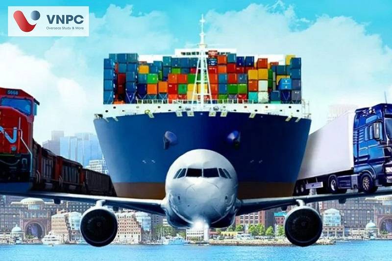 Sự khác biệt giữa Logistics và Supply Chain như thế nào?